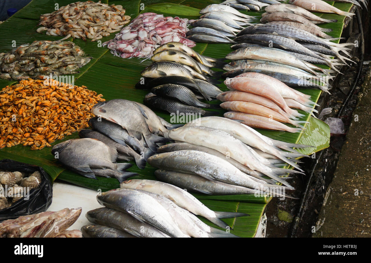 Traditional fresh fish market photo taken in Indonesia Stock Photo - Alamy