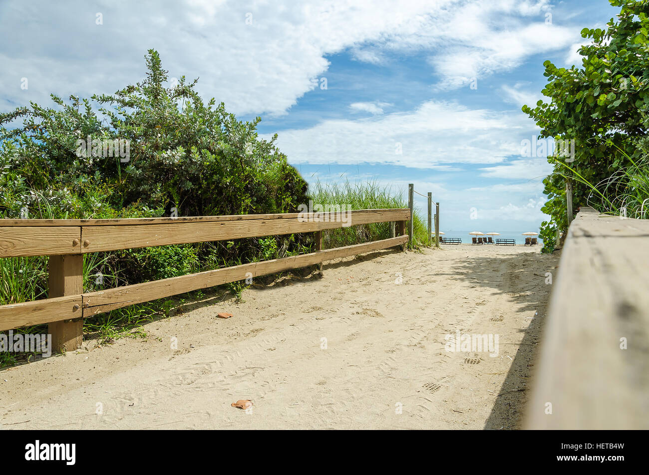 View of Miami Beach sandy path with Palm trees as background in Florida ...