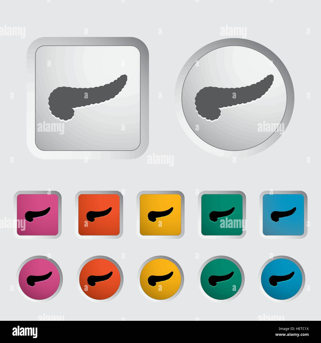Pancreas icon. Vector illustration EPS Stock Vector Image & Art - Alamy