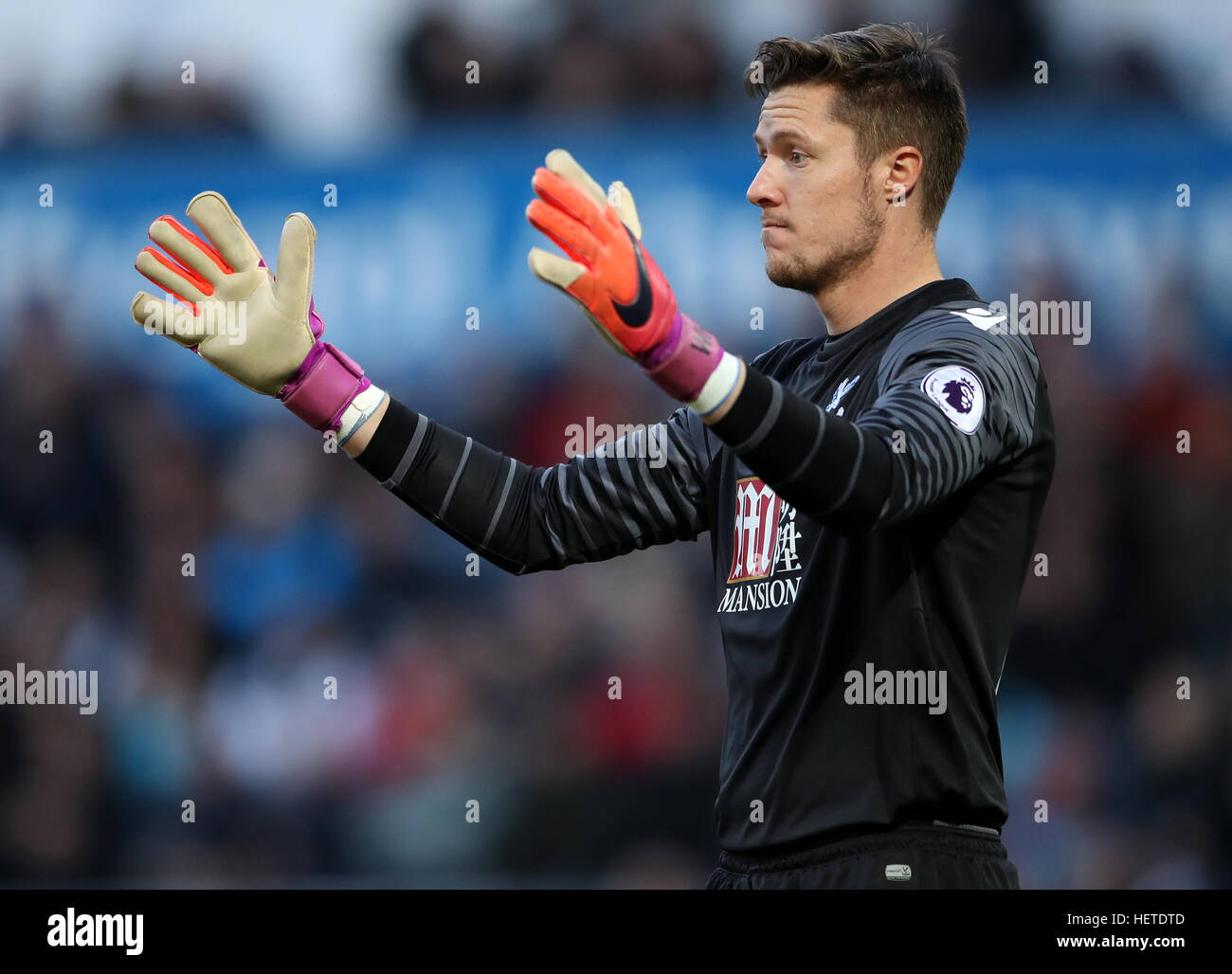 Crystal Palace goalkeeper Wayne Hennessey Stock Photo - Alamy