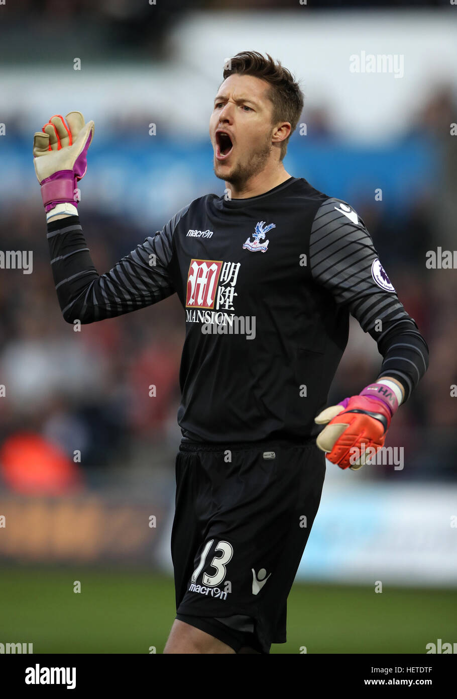Crystal Palace goalkeeper Wayne Hennessey Stock Photo - Alamy