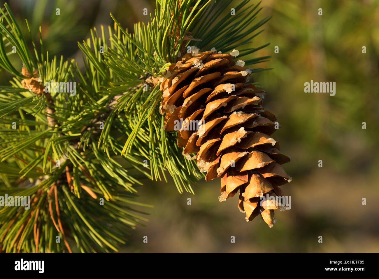 Peaks to craters scenic byway hi-res stock photography and images - Alamy