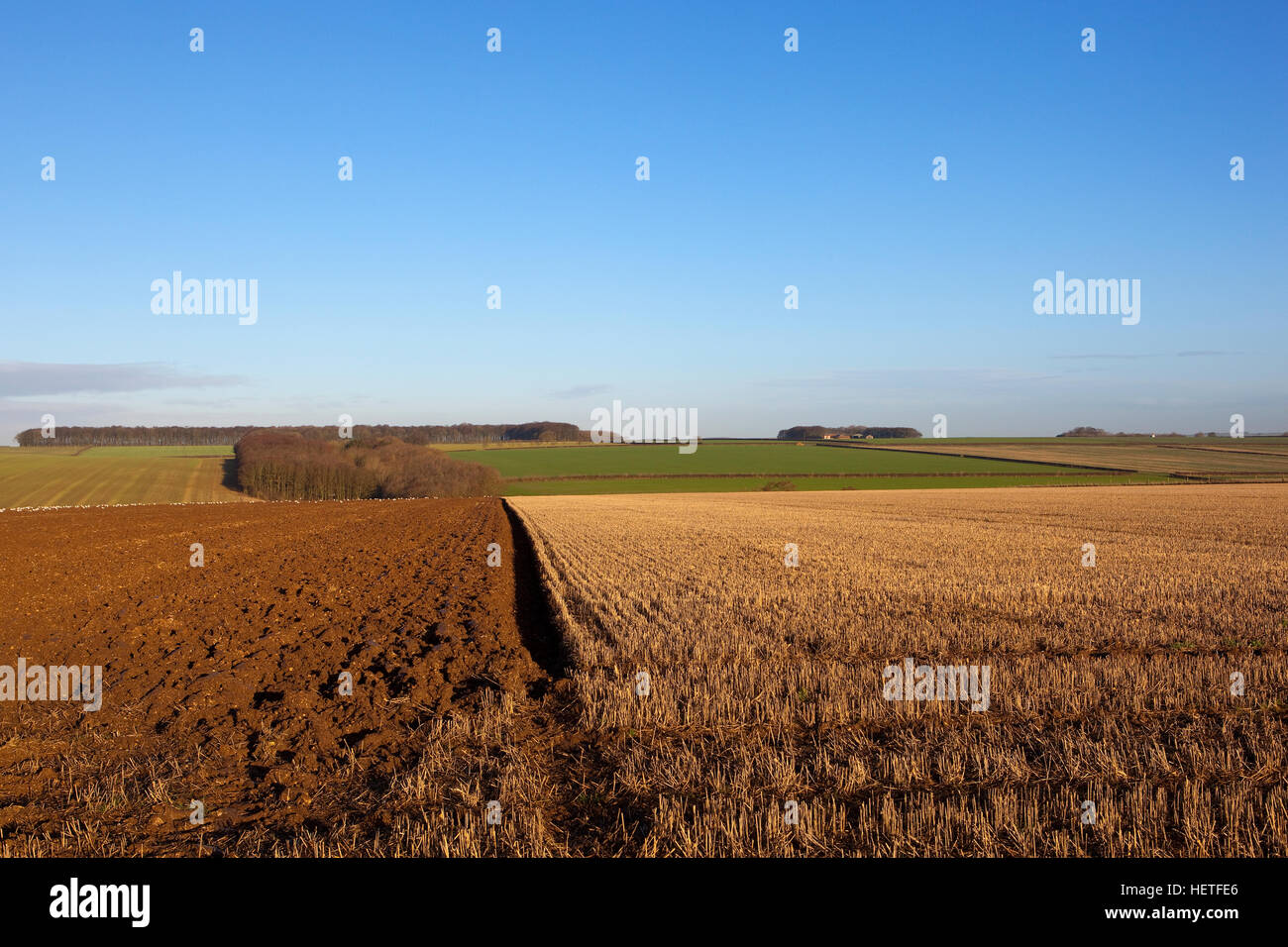 Patterns and textures of plow soil and stubble fields in the patchwork ...