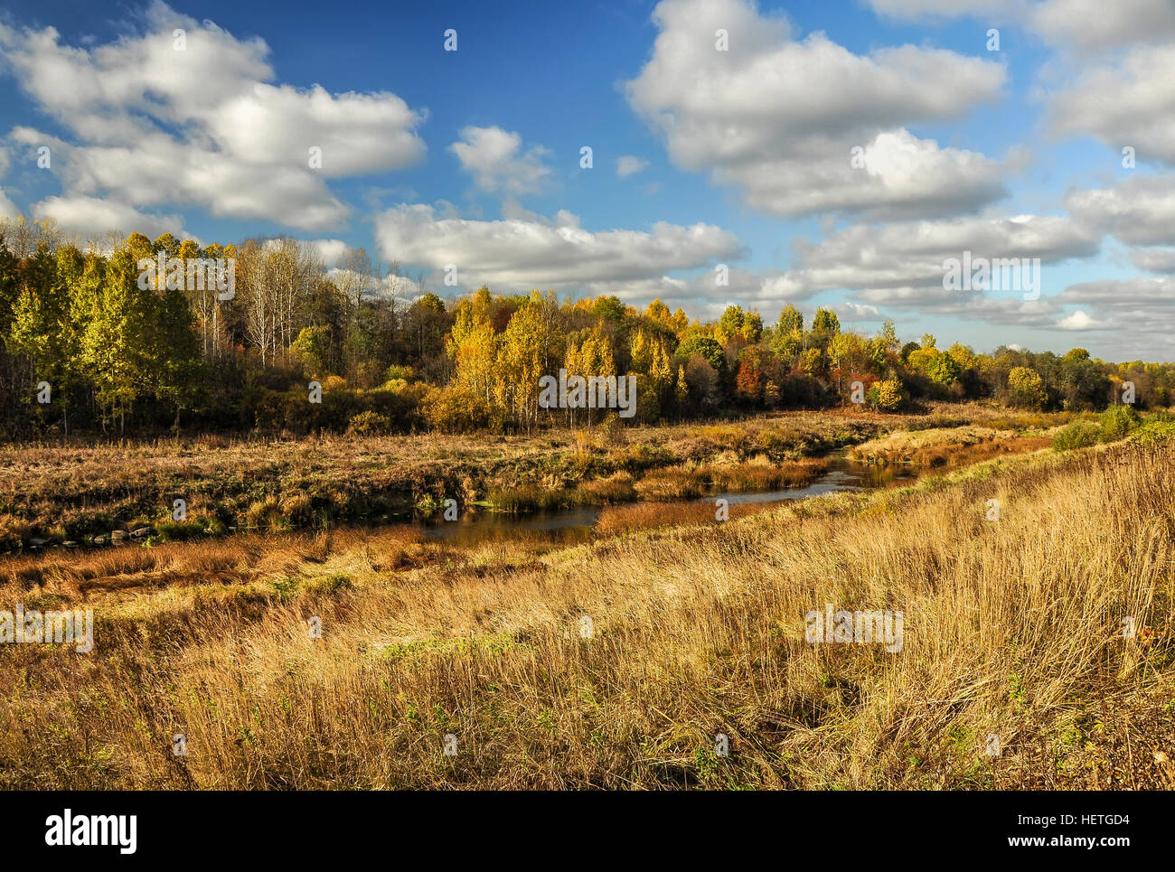 Bright colors of Golden autumn in the countryside Stock Photo - Alamy
