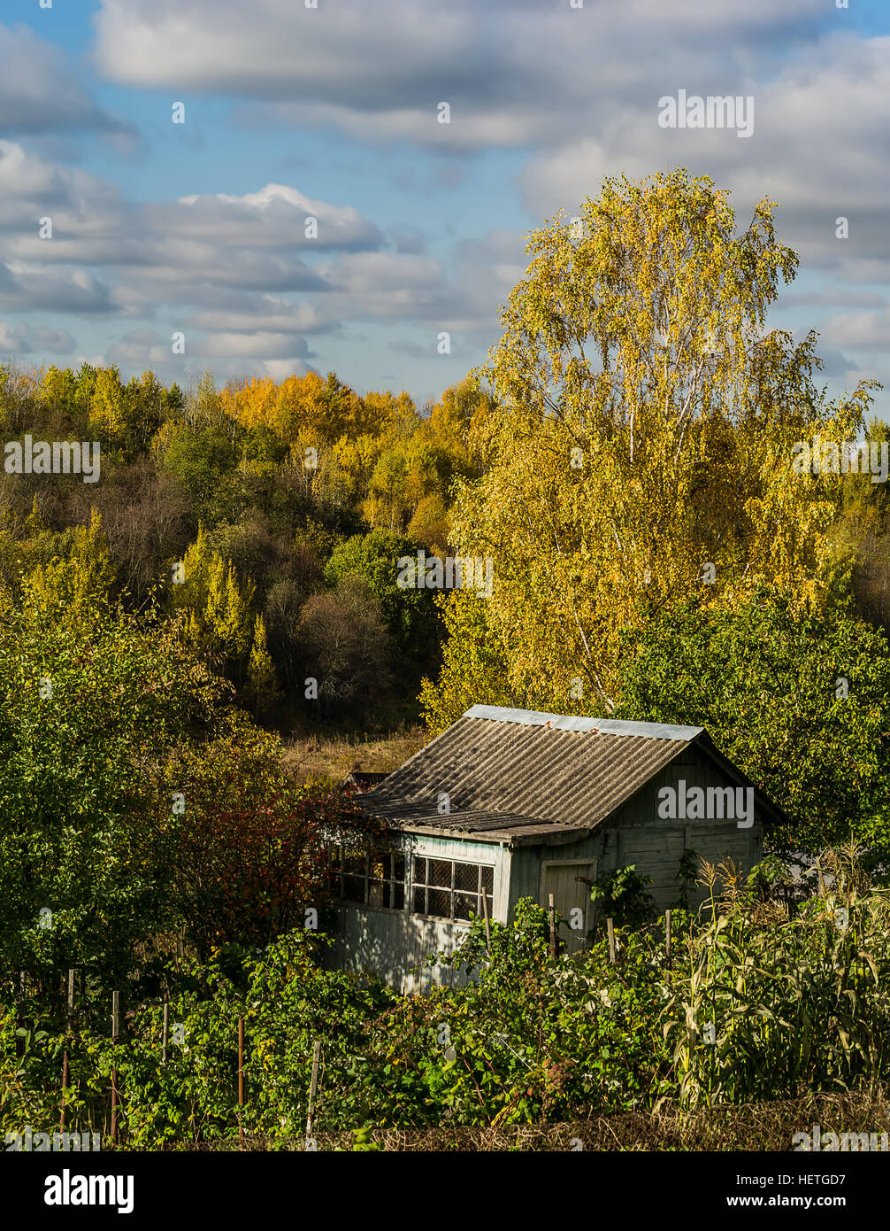 Bright colors of Golden autumn in the countryside Stock Photo - Alamy