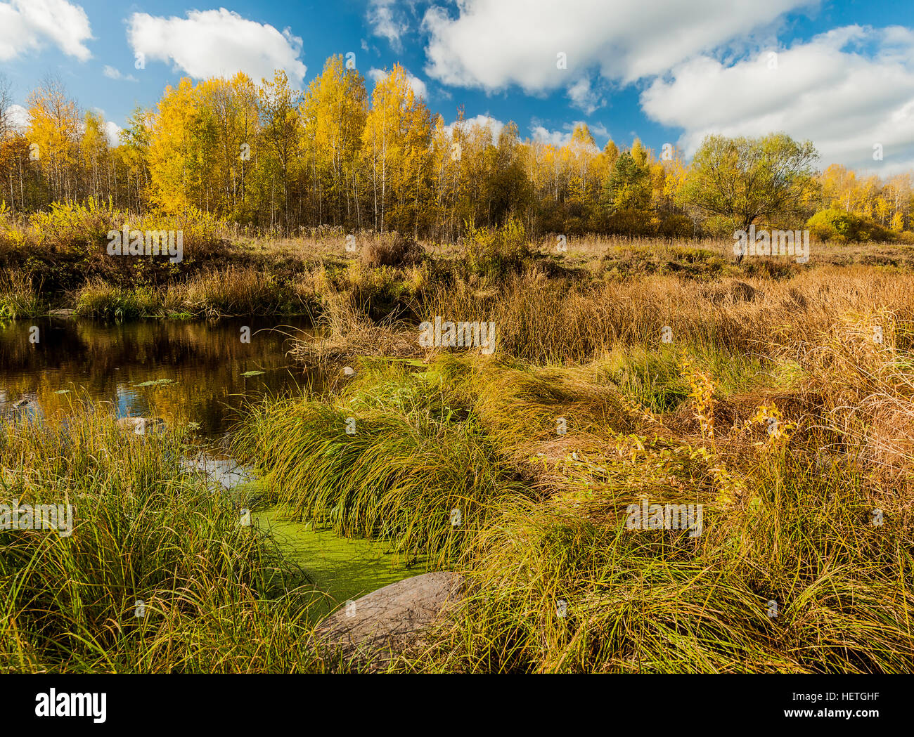 Bright colors of Golden autumn in the countryside Stock Photo - Alamy