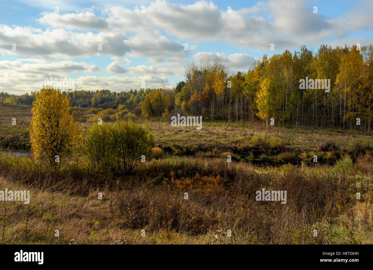 Bright colors of Golden autumn in the countryside Stock Photo - Alamy