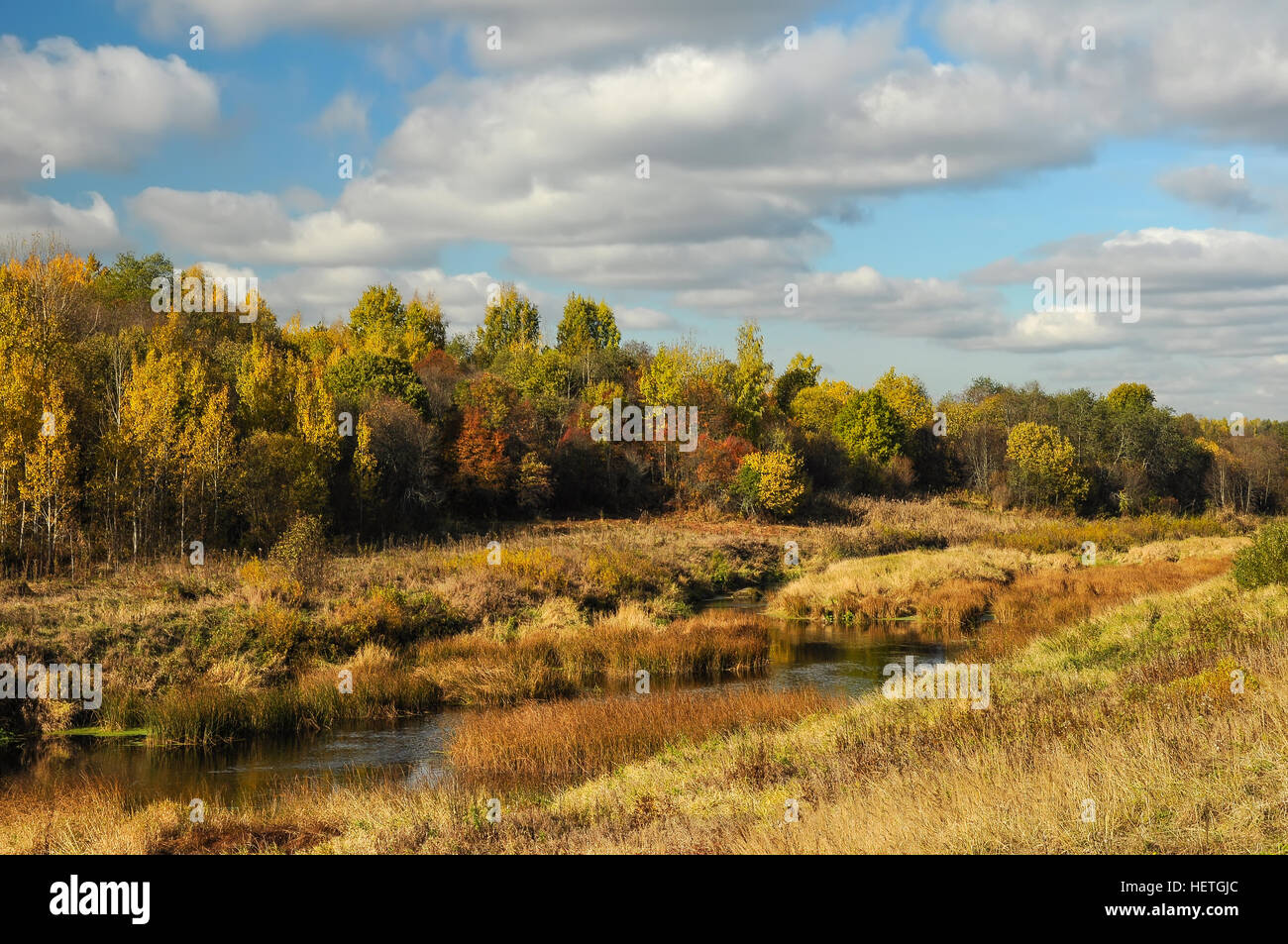 Bright colors of Golden autumn in the countryside Stock Photo - Alamy