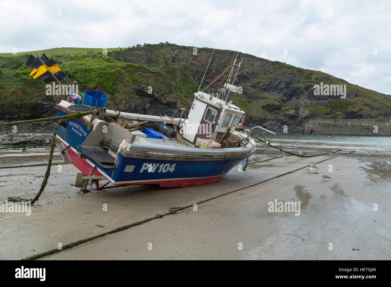 Low tide in Port Isaac Stock Photo - Alamy