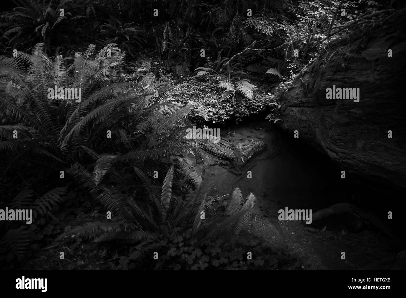 Black and white illuminates hi-res stock photography and images - Alamy