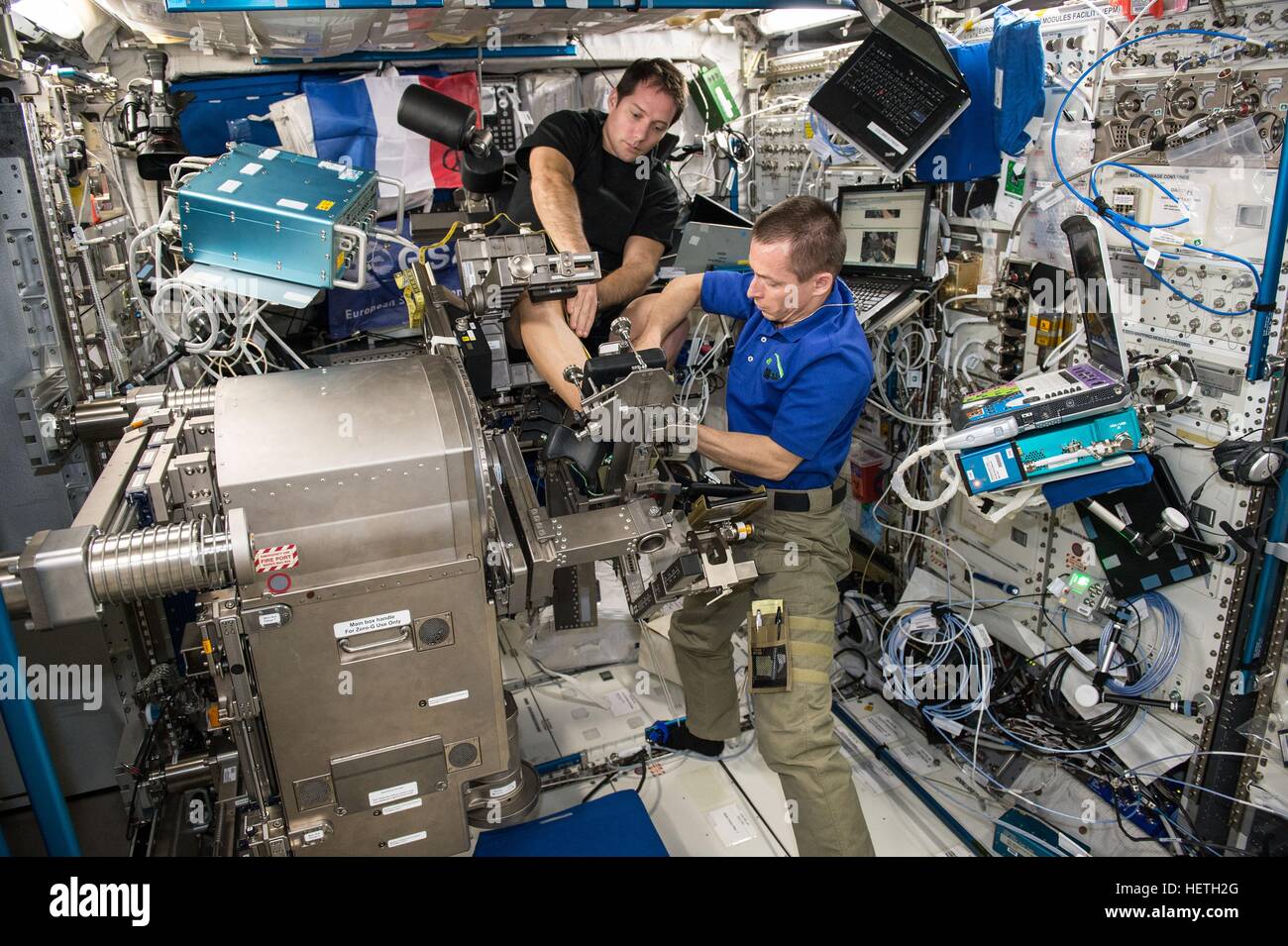 Human muscular system hi-res stock photography and images - Alamy