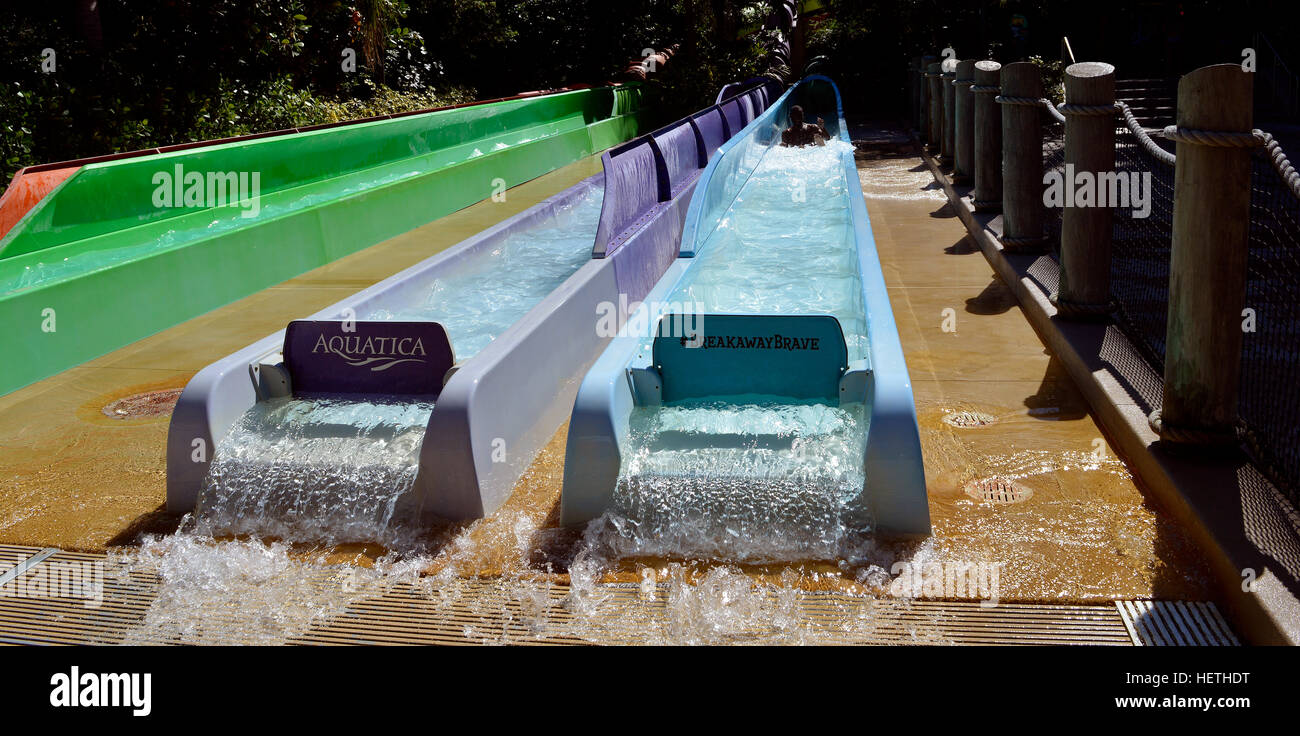 Tourist on Breakaway Falls adventure slide in Aquatica water park Stock ...