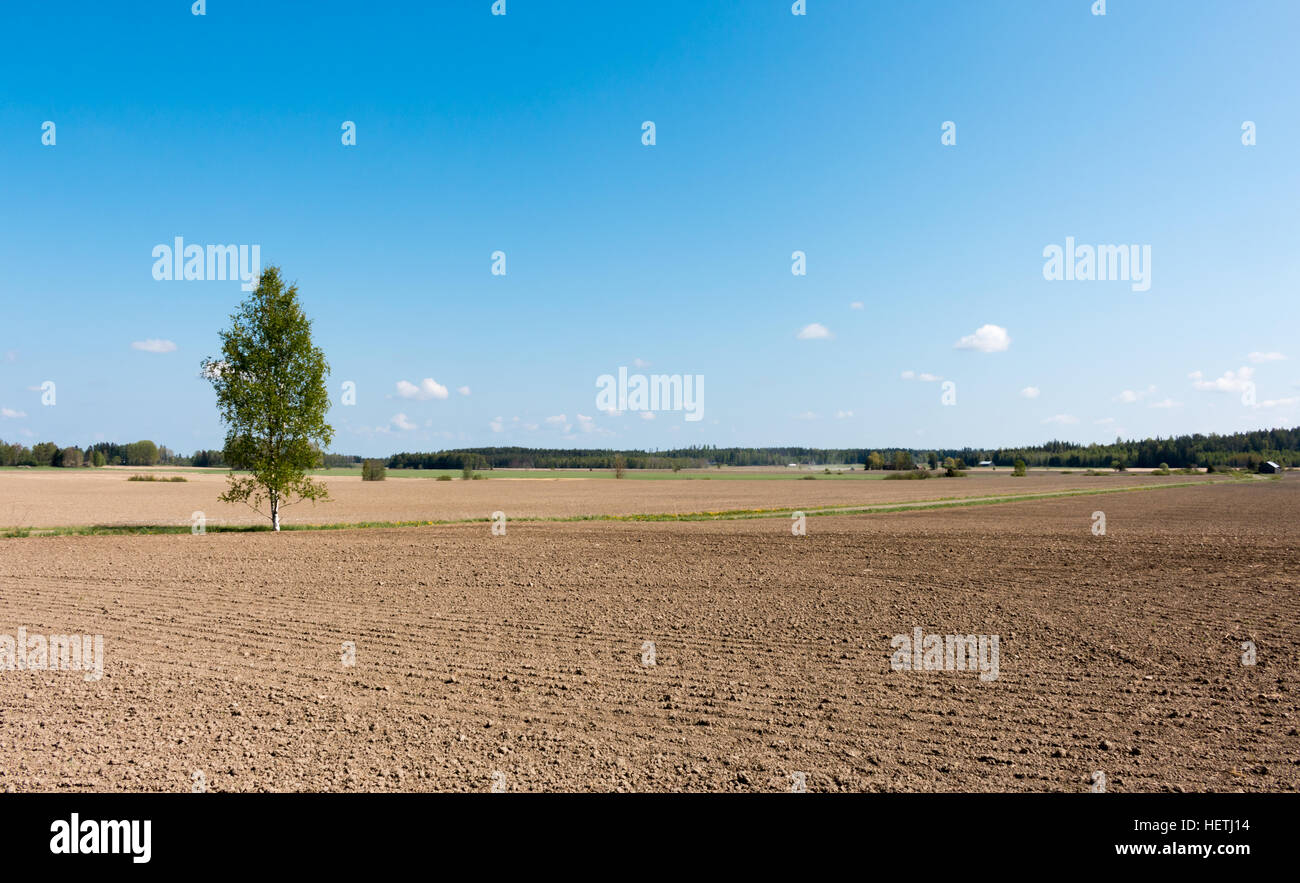 Finnish country side hi-res stock photography and images - Alamy