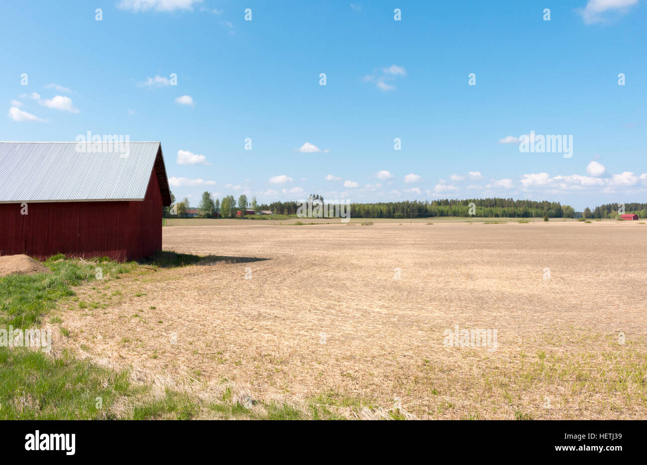 Field in Finnish countryside. Sunny weather Stock Photo - Alamy