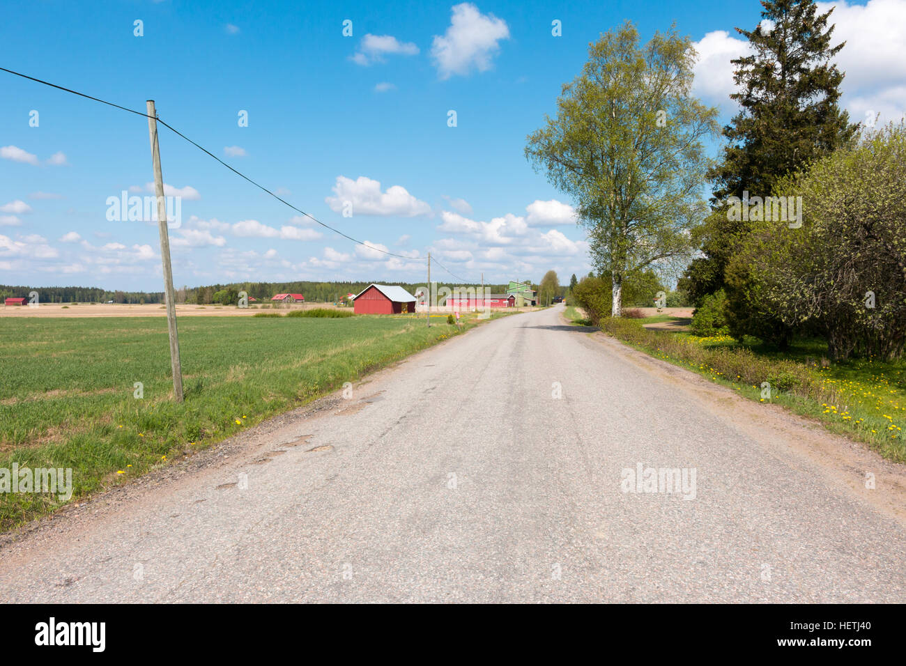 Country road in rural Finland. Sunny weather Stock Photo - Alamy