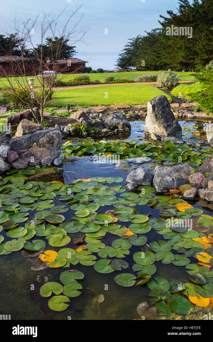 Lily ponds hi-res stock photography and images - Alamy