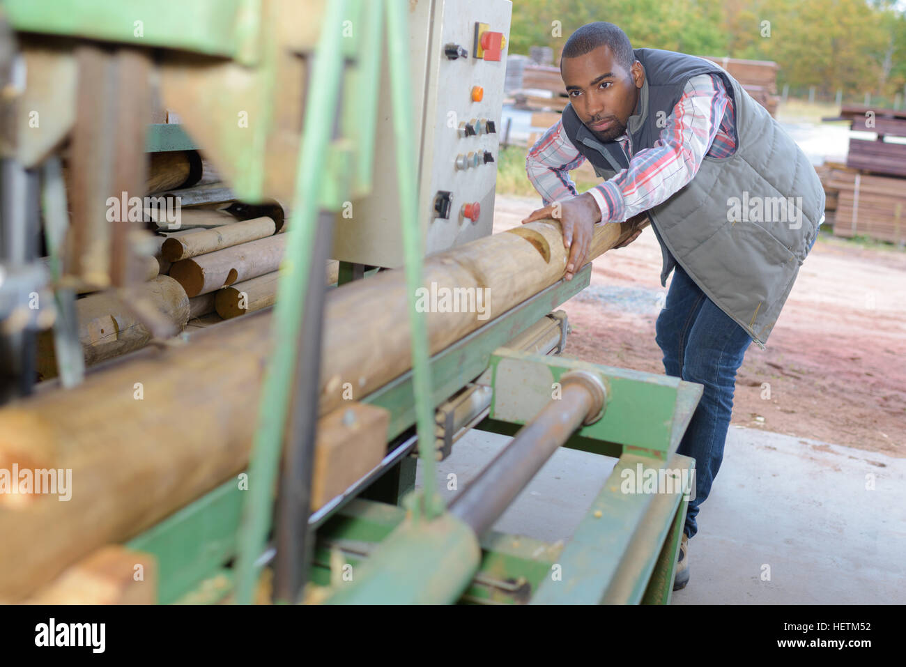 removing the bark Stock Photo - Alamy