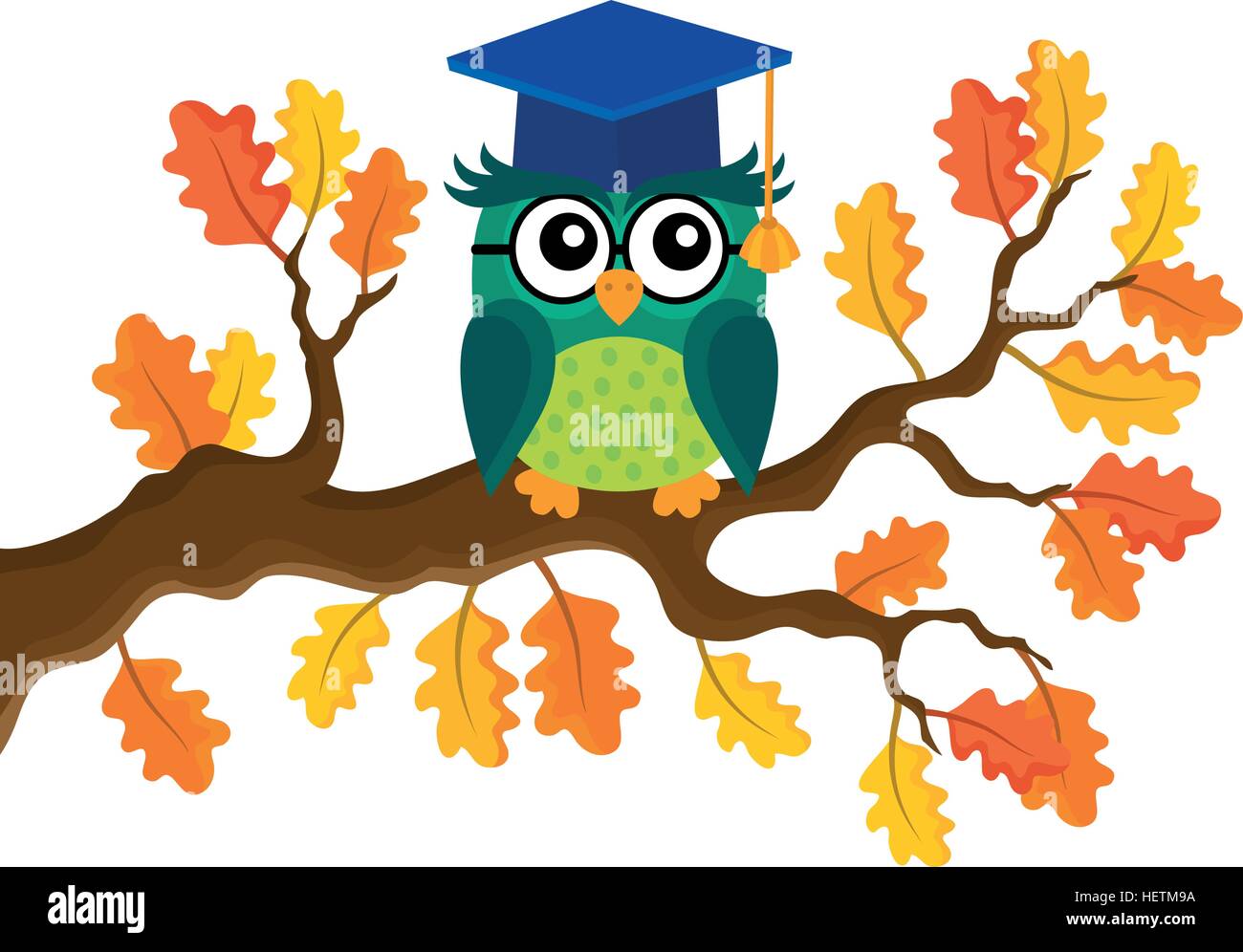Stylized school owl theme image 8 - eps10 vector illustration Stock ...