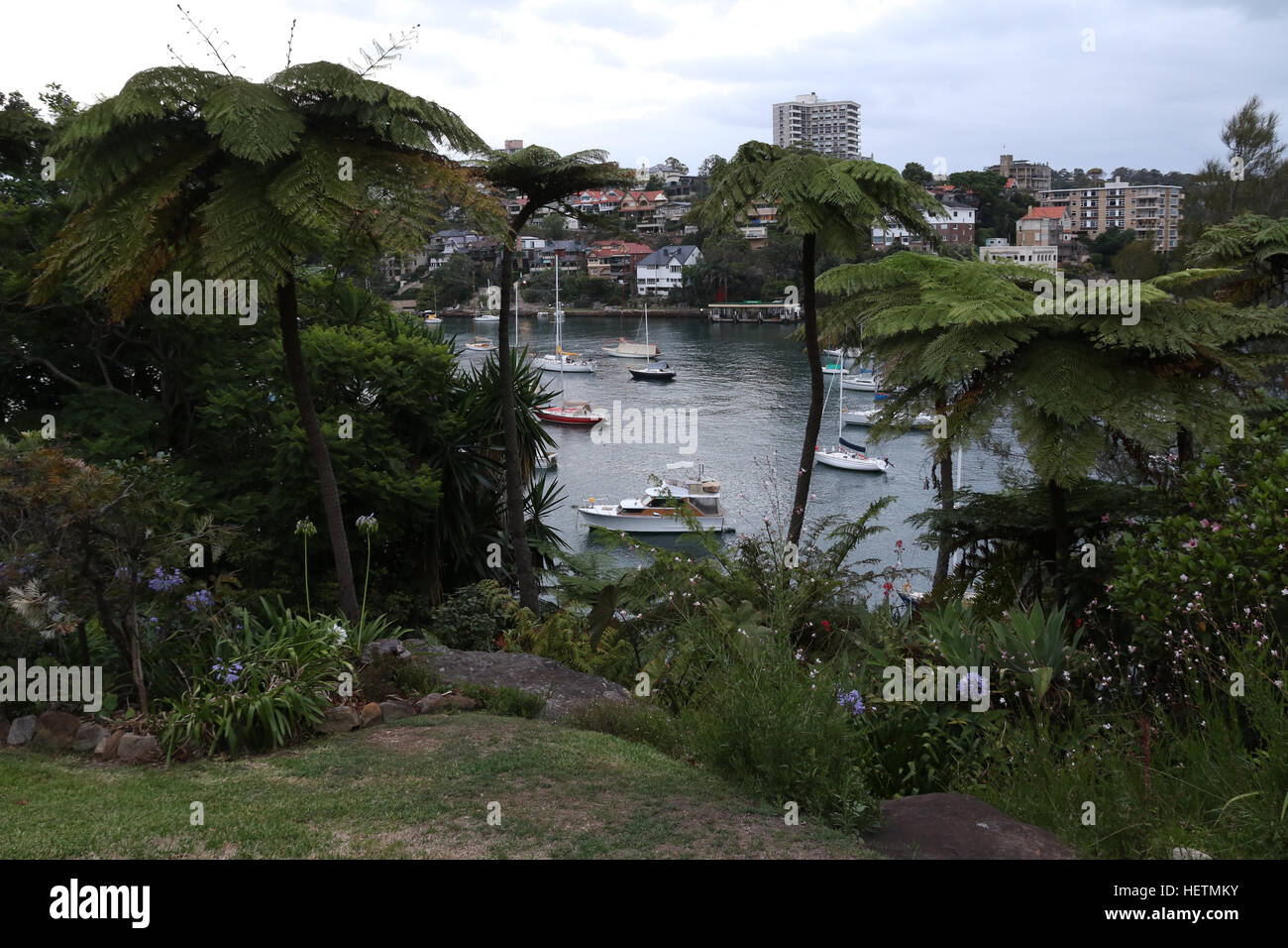 View from the eastern side of the Cremorne Point foreshore walk on ...