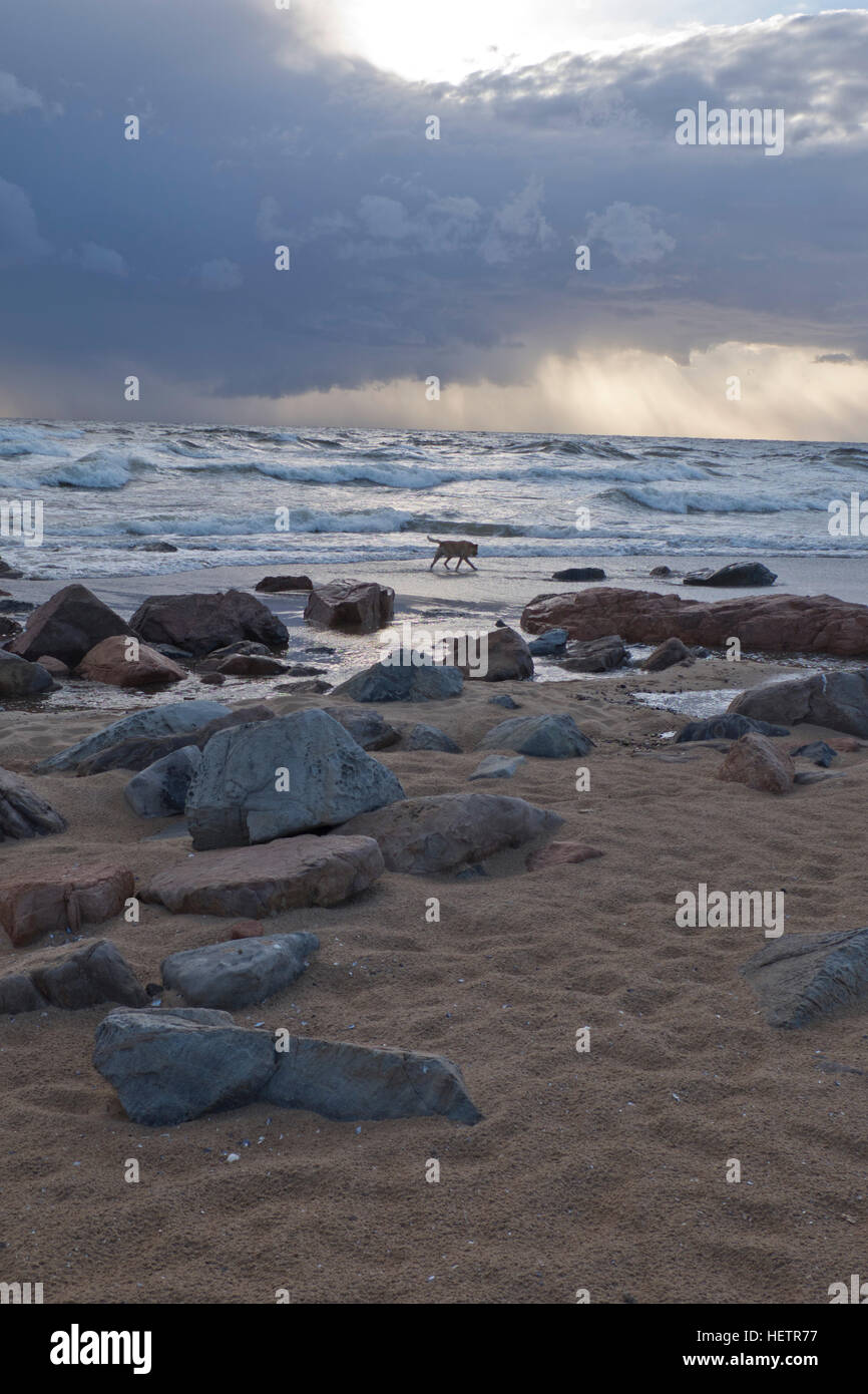 The beach in Punta Colorada, Uruguay, South America Stock Photo - Alamy