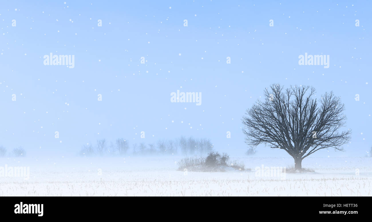 A Solitary tree in a winter landscape Stock Photo - Alamy
