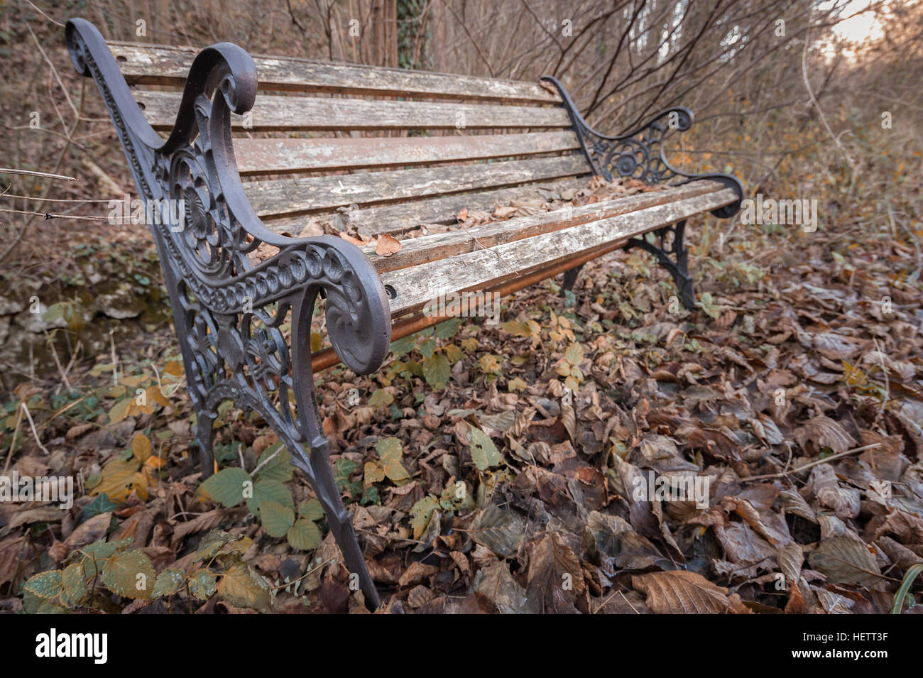 Bench in the Park in autumn season Stock Photo - Alamy