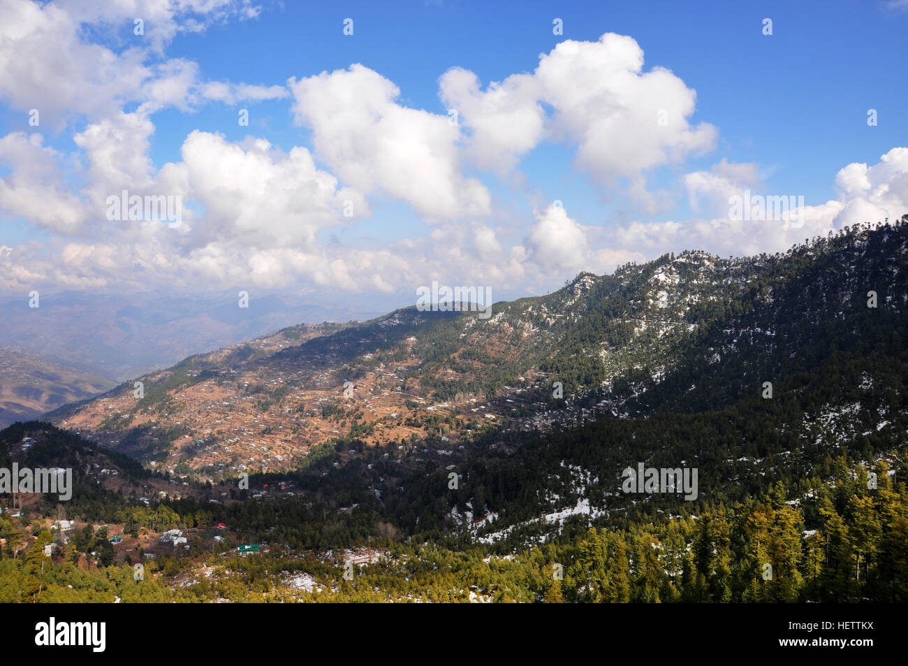 Snow kashmir beautiful pine tree hi-res stock photography and images ...