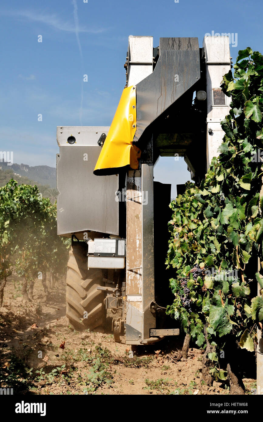Fruit Harvesting Machine Stock Photos & Fruit Harvesting Machine Stock ...