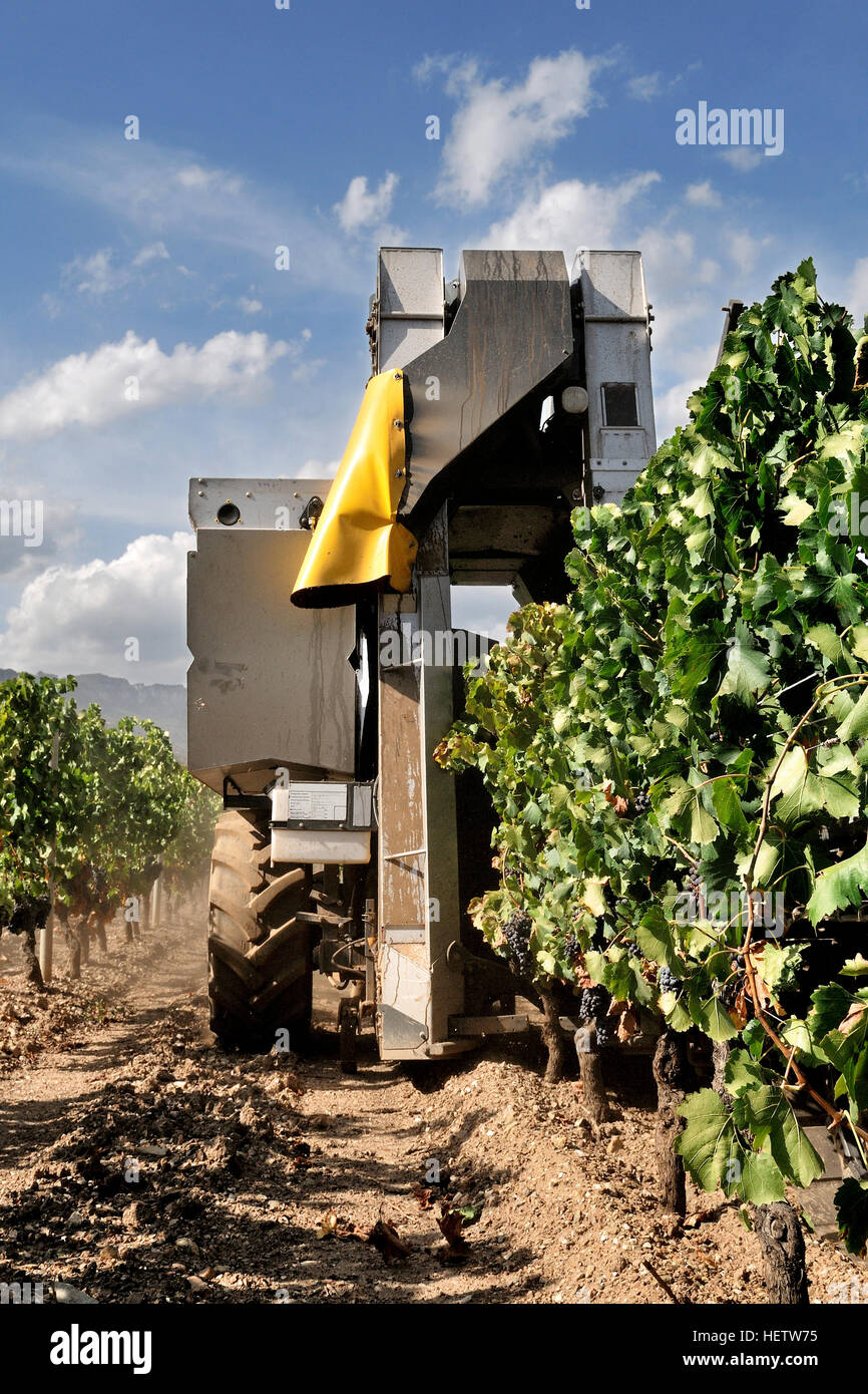 Grape Harvesting Machine High Resolution Stock Photography and Images ...