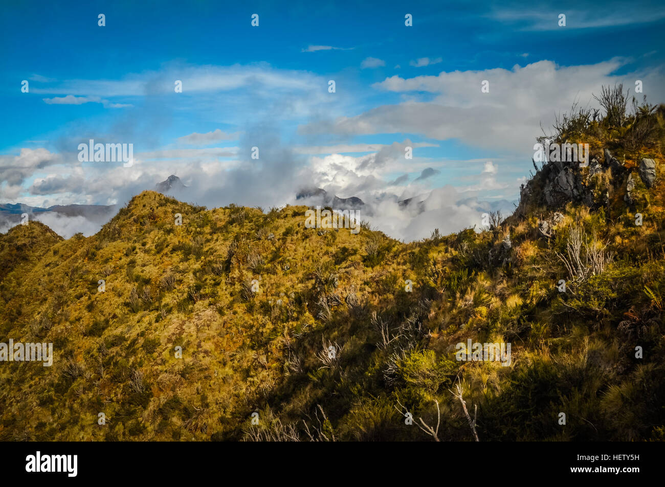 Photo of top of mountain during hiking in Trikora, Papua, Indonesia ...