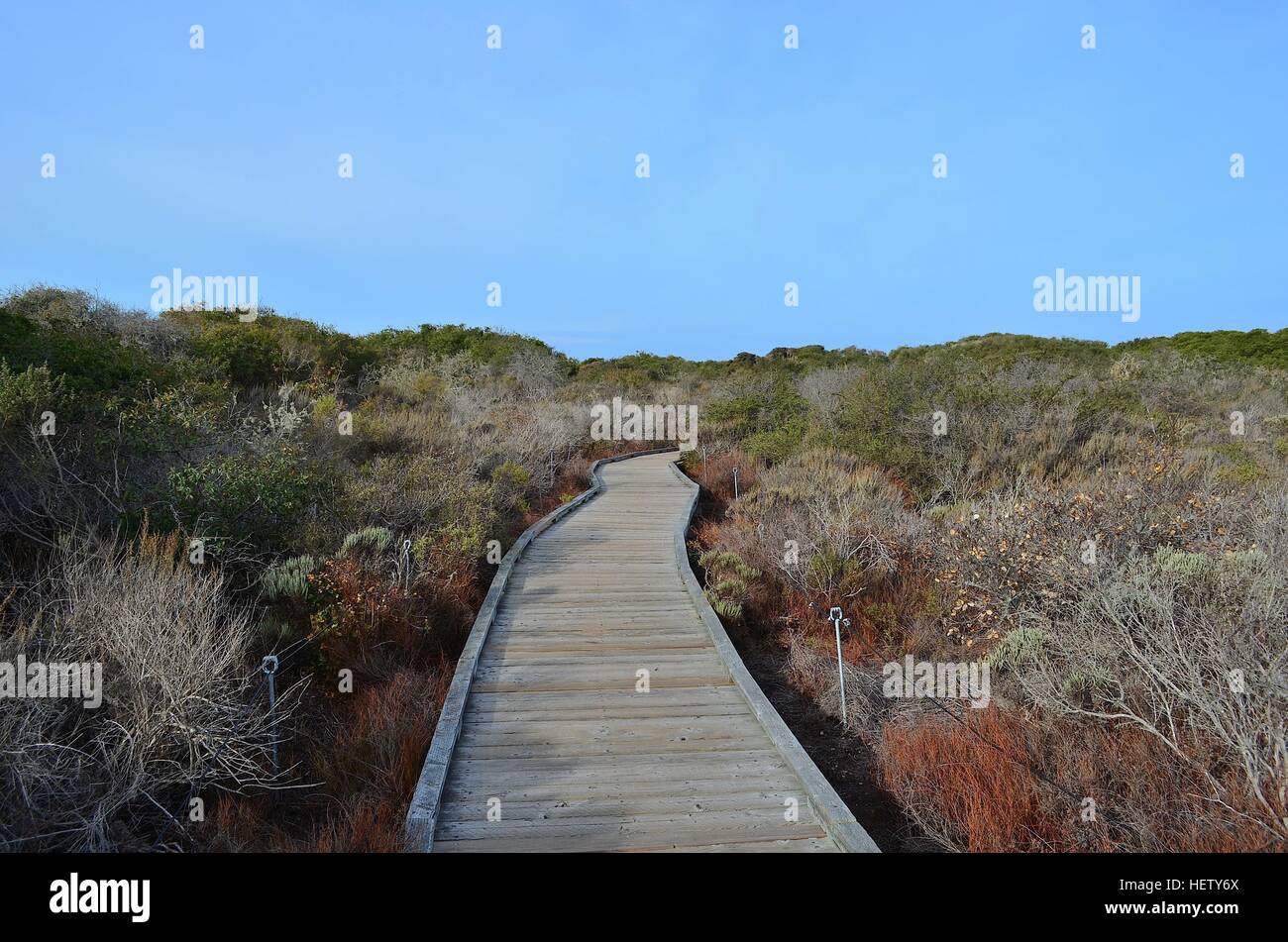 Elfin bay elfin bay hi-res stock photography and images - Alamy