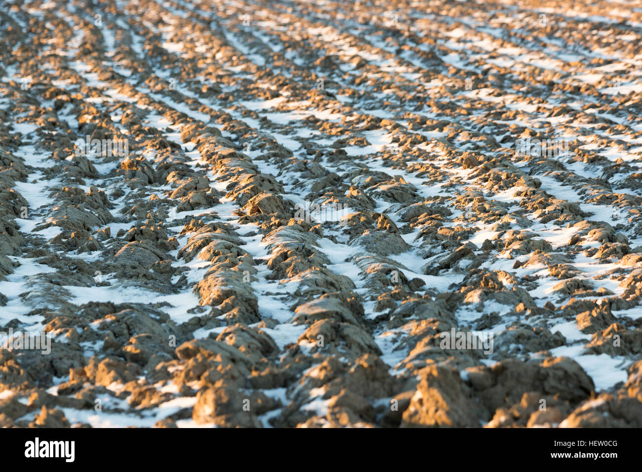 Snow in Agricultural Field which is turned over Stock Photo - Alamy