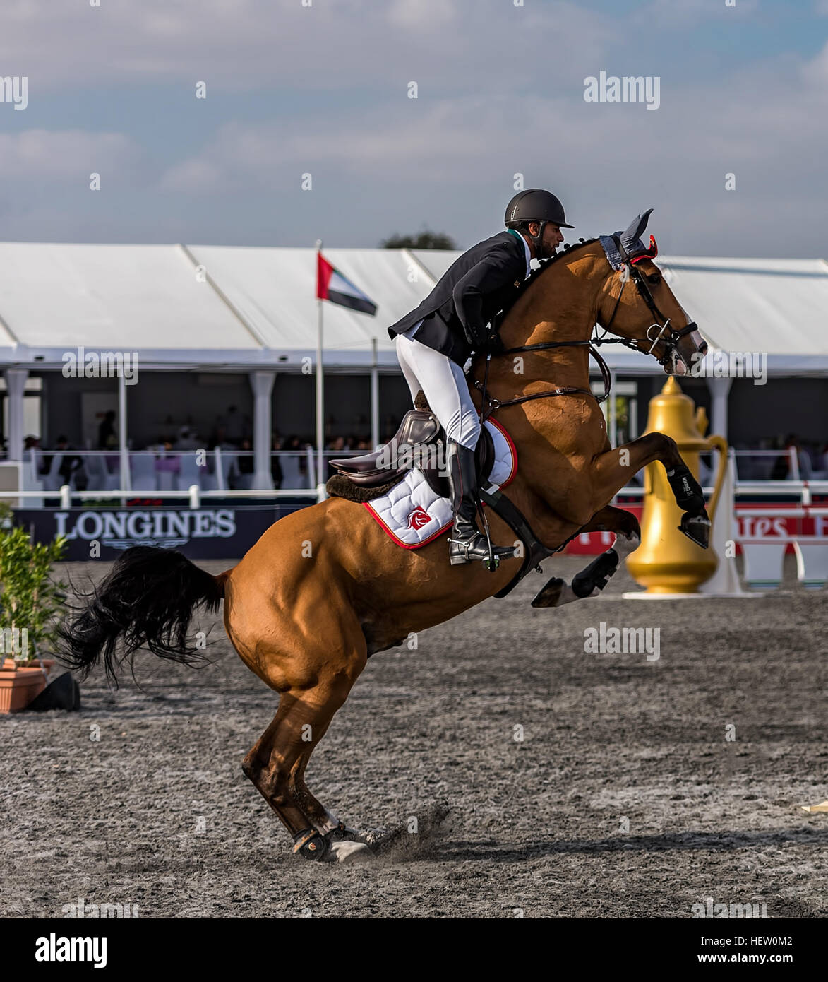 Champion equestrian hi-res stock photography and images - Alamy