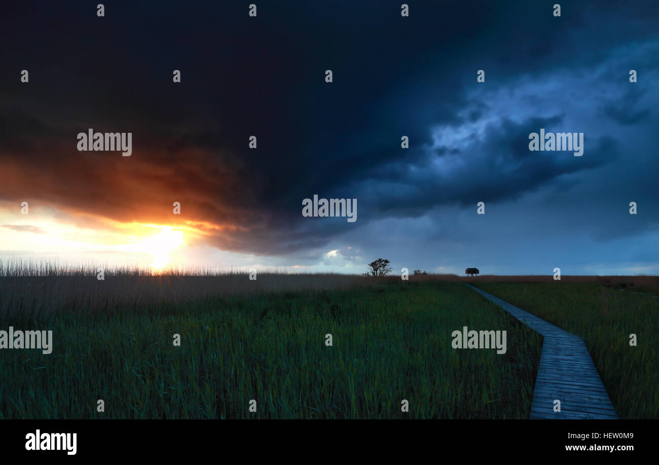 Dark sky over swamp hi-res stock photography and images - Alamy