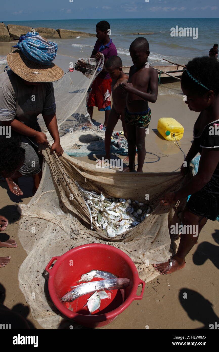 Fish sorting hi-res stock photography and images - Alamy