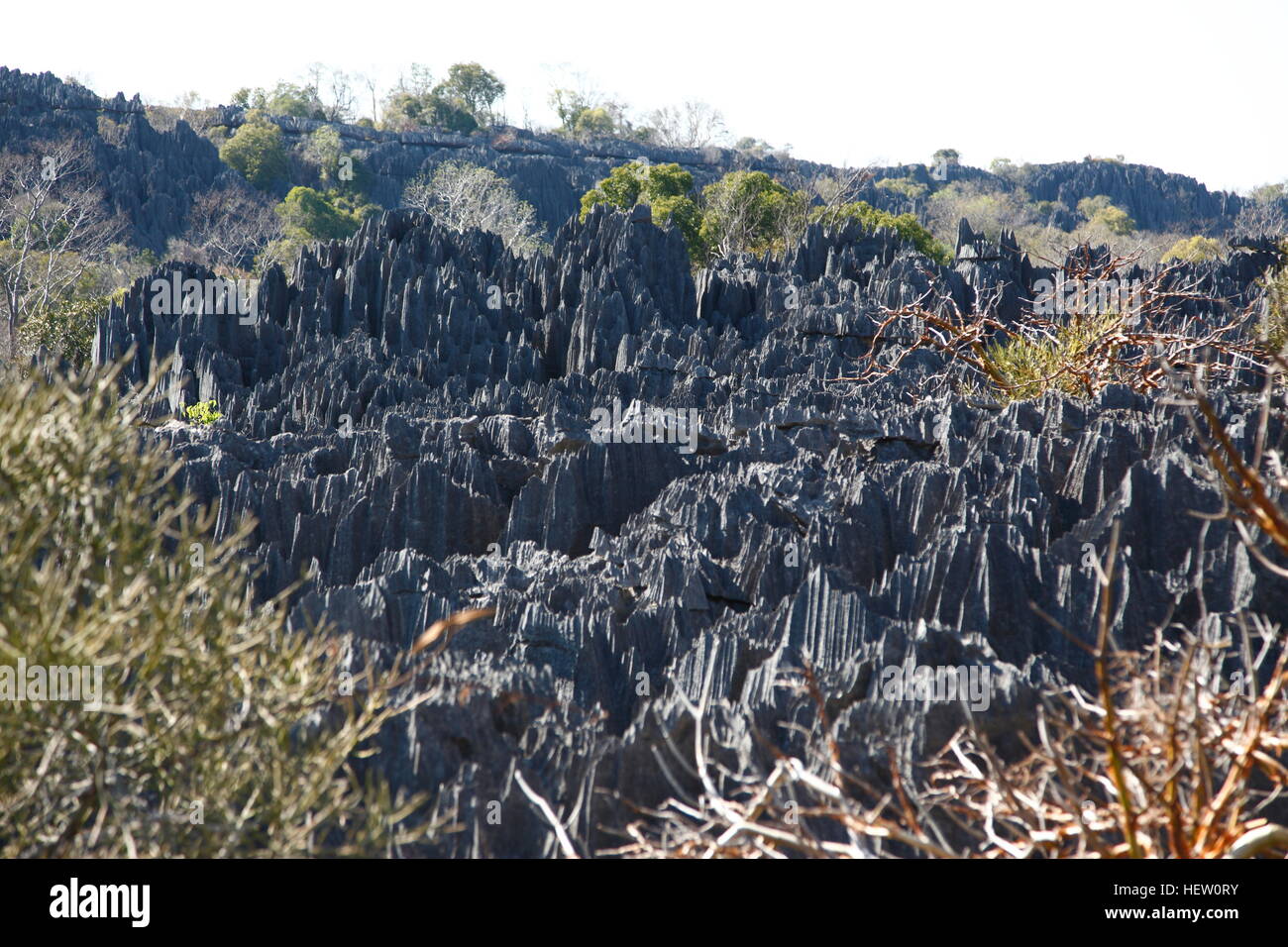 Tsingy de bemaraha national park hi-res stock photography and images ...