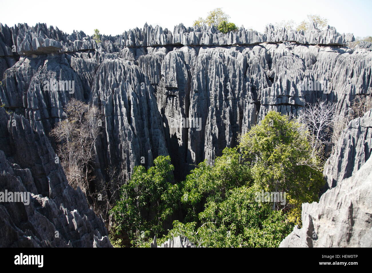 Tsingy de bemaraha national park hi-res stock photography and images ...