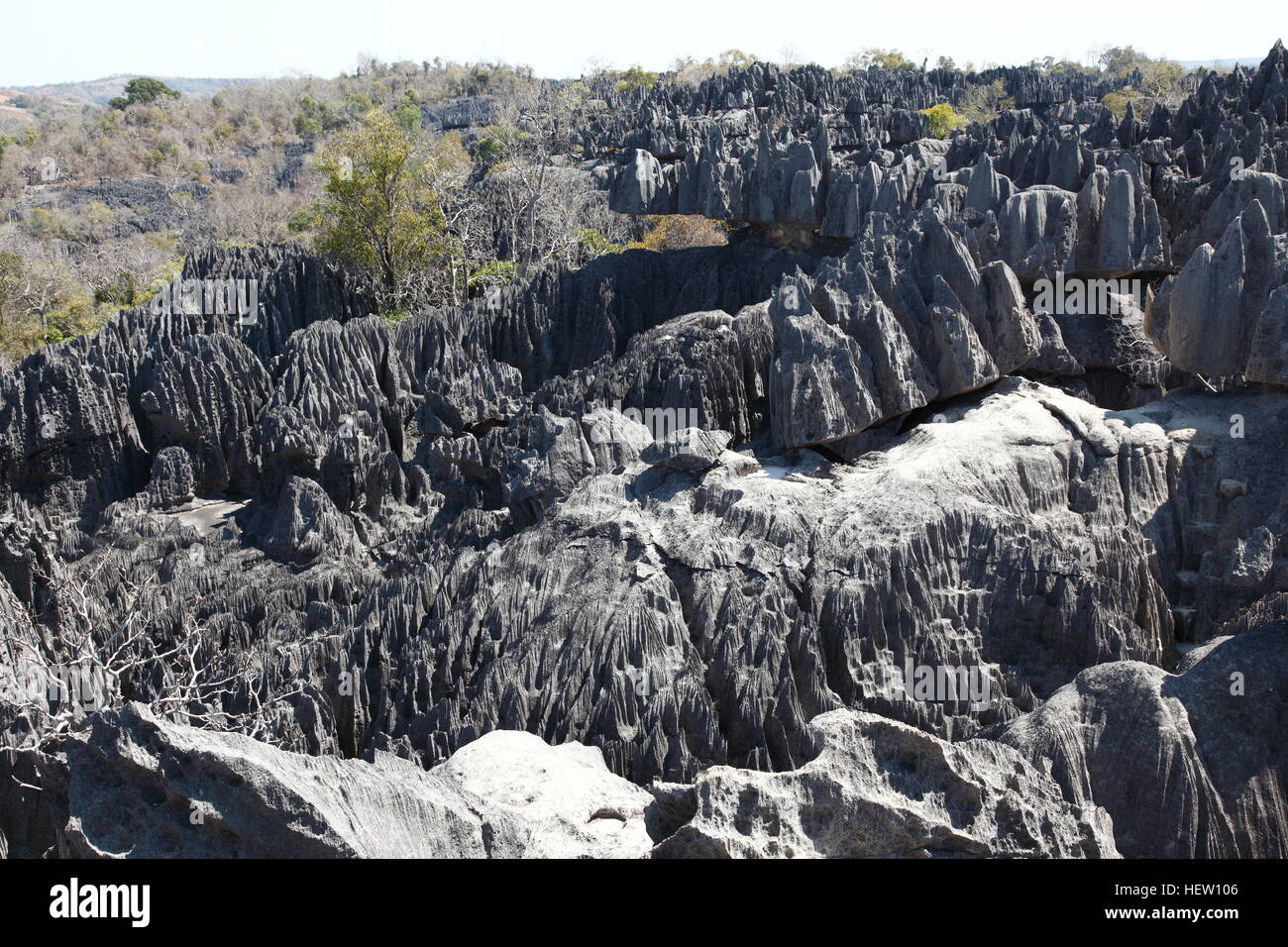 Towering limestone pinnacles in Grand Tsingy at Tsingy de Bemaraha ...