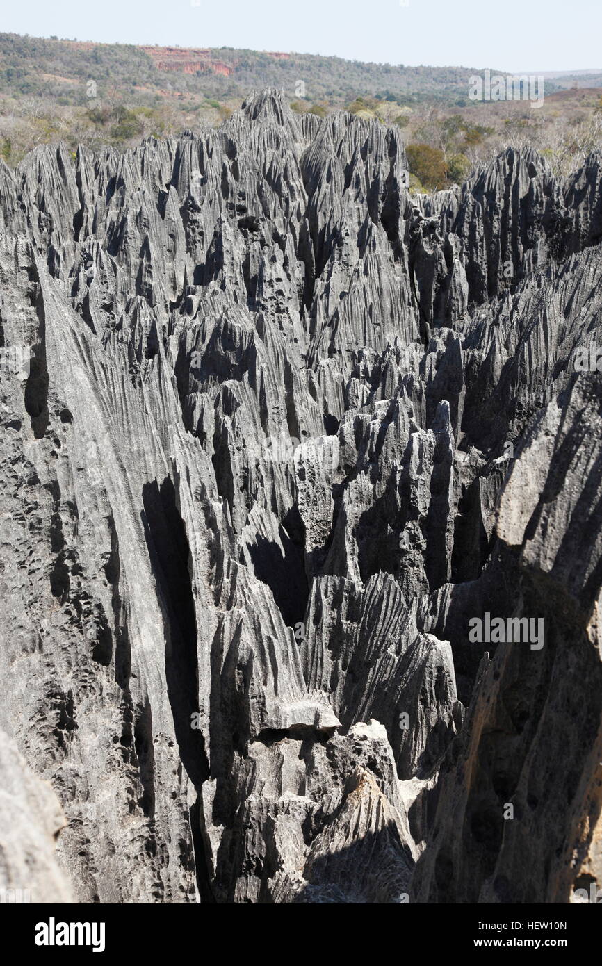 Towering limestone pinnacles upto 50 metres high in Grand Tsingy at ...