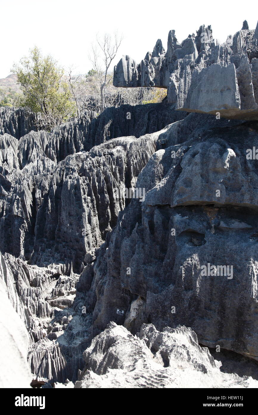 Tsingy de bemaraha national park hi-res stock photography and images ...