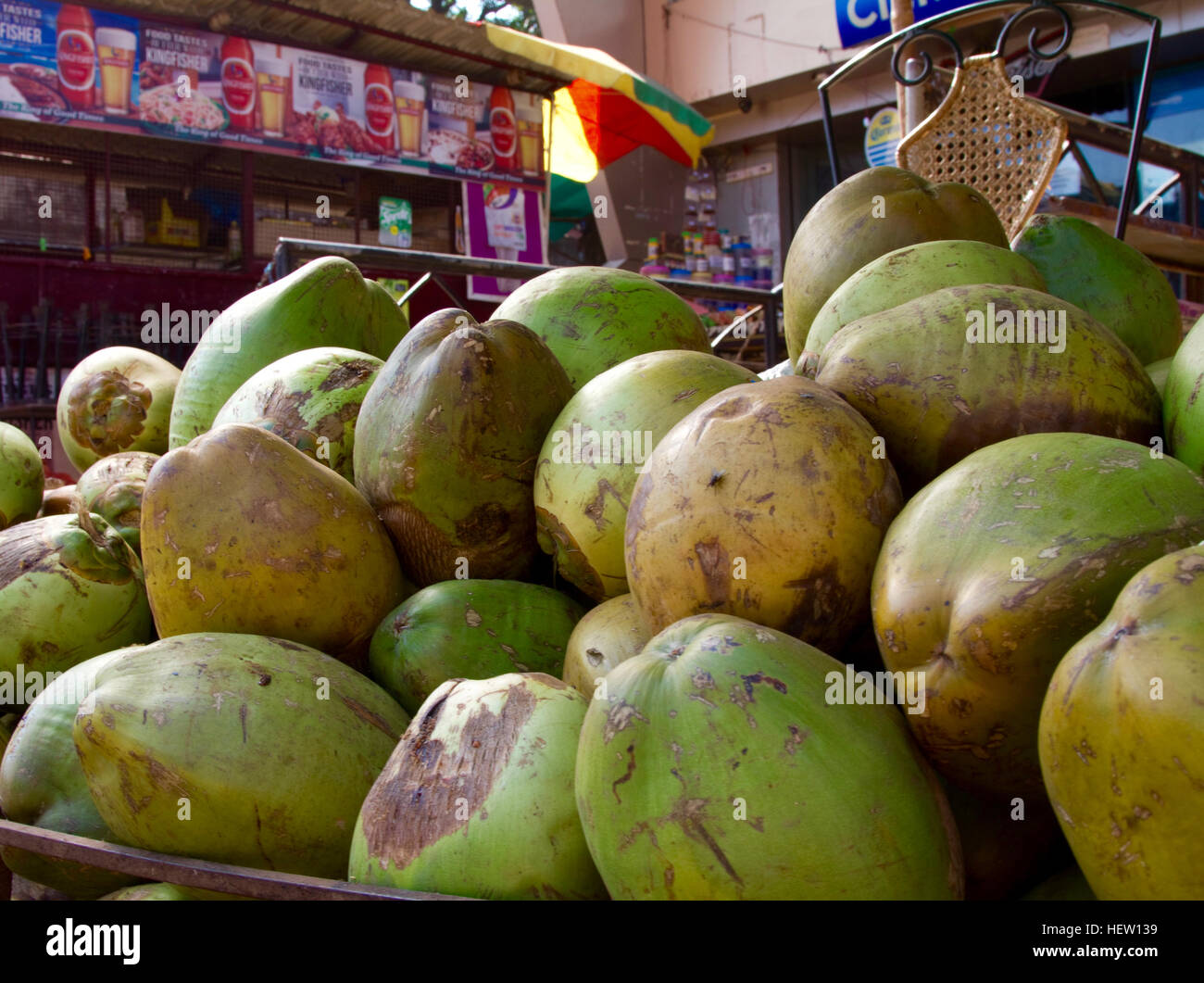 Goa, India - December 16, 2016: Green coconuts stacked at a roadside ...