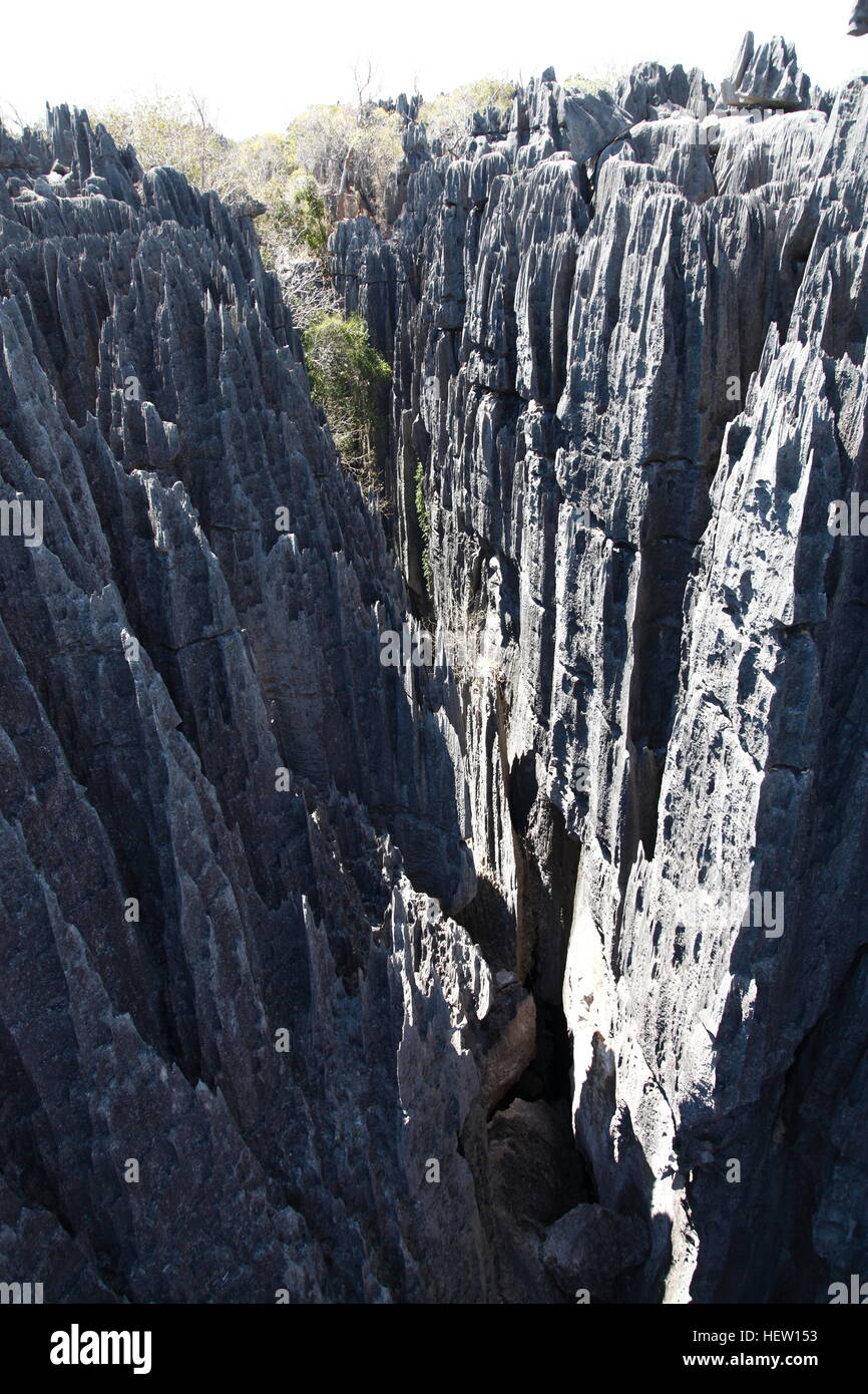 Towering limestone pinnacles upto 50 metres high in Grand Tsingy at ...