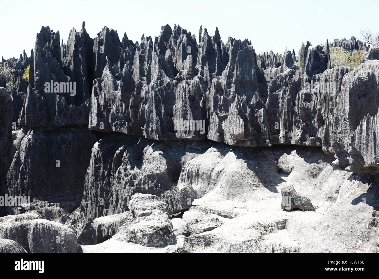 Towering limestone pinnacles upto 50 metres high in Grand Tsingy at ...