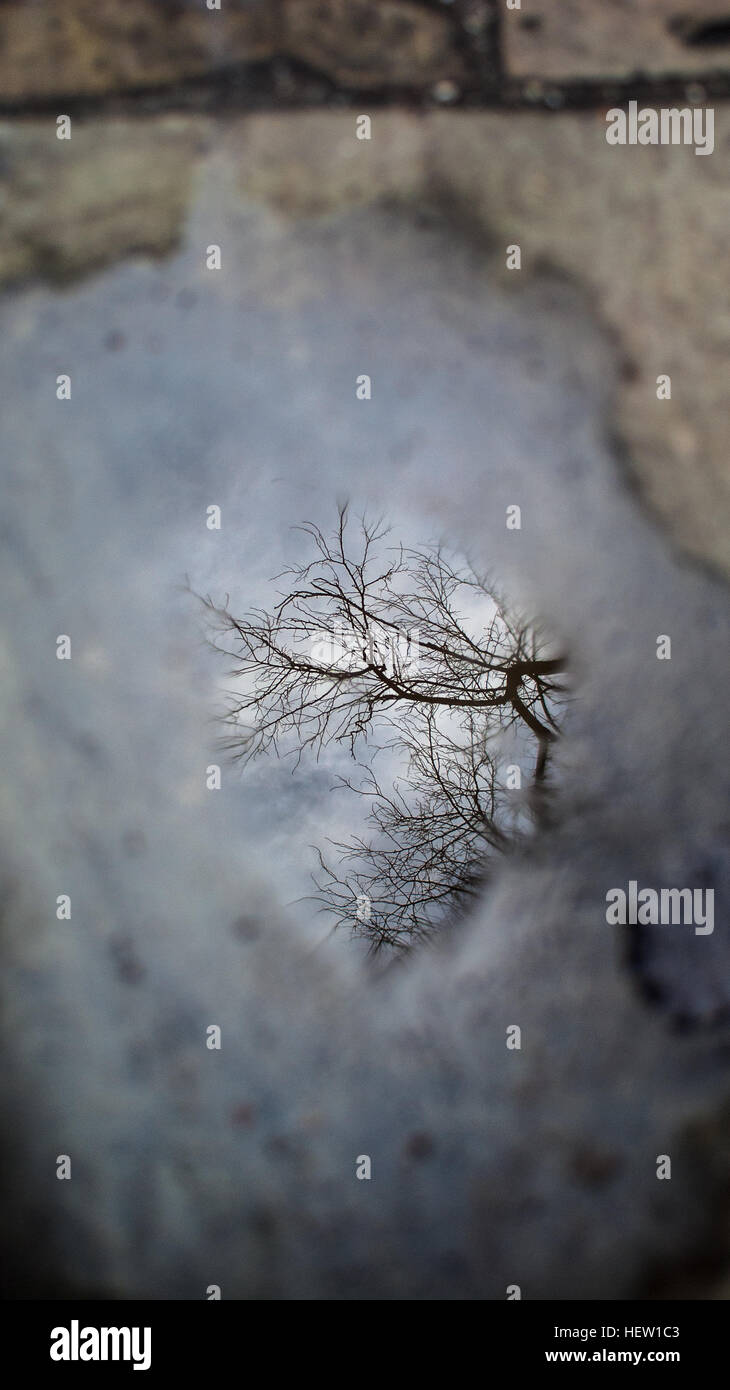 Close shot of a water puddle Stock Photo - Alamy