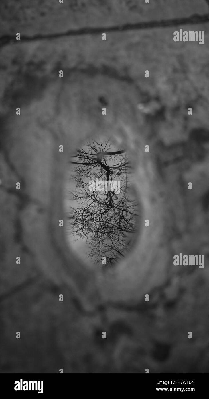 Close shot of a water puddle Stock Photo - Alamy