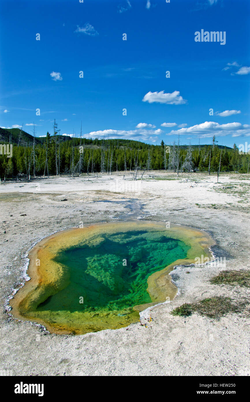 Yellowstone National Park Geyser Stock Photo - Alamy