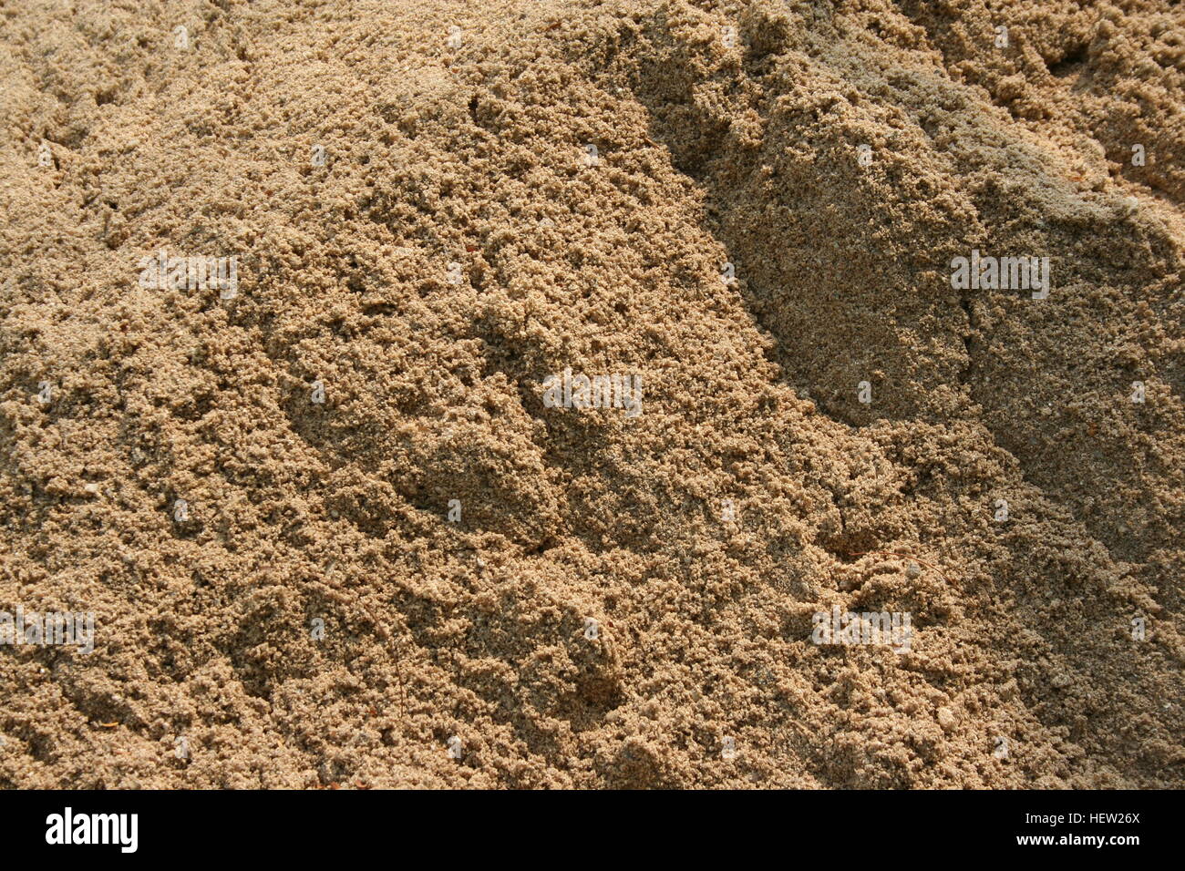 Grain of sand Stock Photo - Alamy