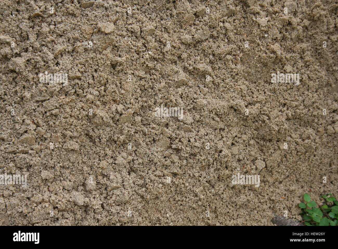 Grain of sand Stock Photo - Alamy
