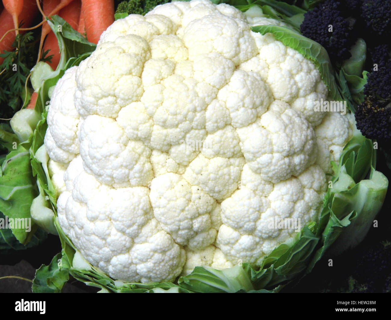 Large head of cauliflower Stock Photo - Alamy