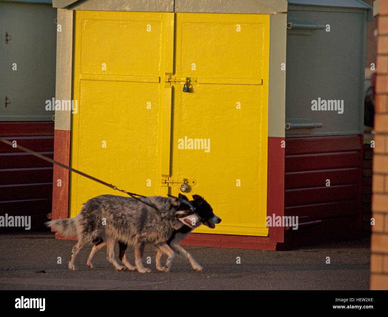 Hove beach walk hi-res stock photography and images - Alamy